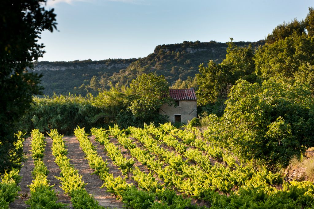 Le côtes-du-Rhône villages Laudun s’offre une nouvelle identité visuelle