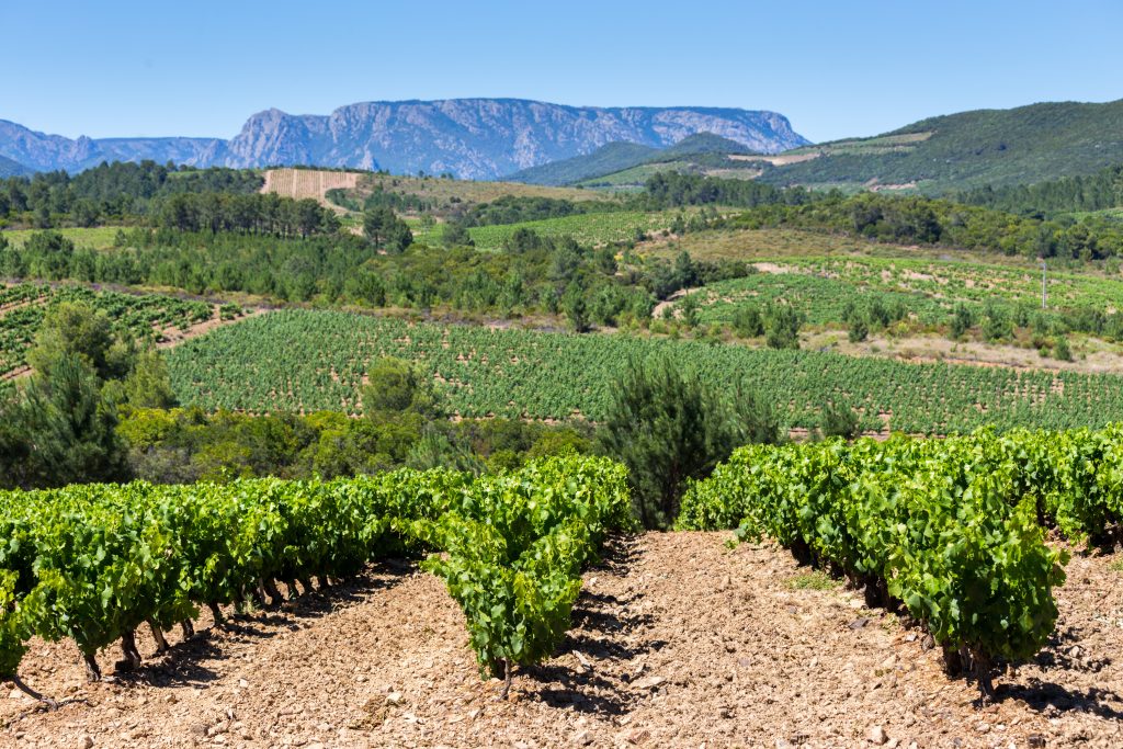 Terroir Tour : triplé gagnant pour le cru Saint-Chinian - Terroir Tour ...