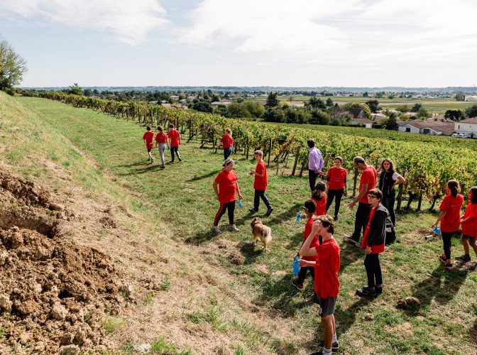 Vendanges scolaires et éco-responsables chez Bordeaux Vineam ...
