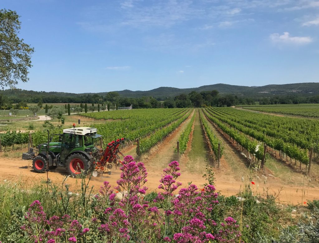 2019, "un rêve d’œnologue" en Provence - 2019, « un rêve d’œnologue ...