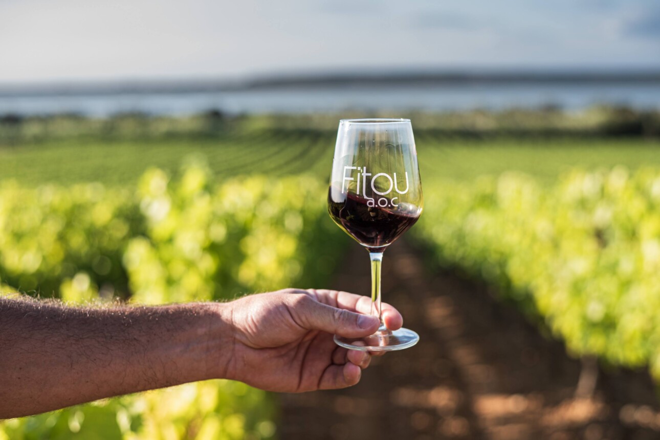 Fitou : 75 ans, toutes ses dents et un rajeunissement