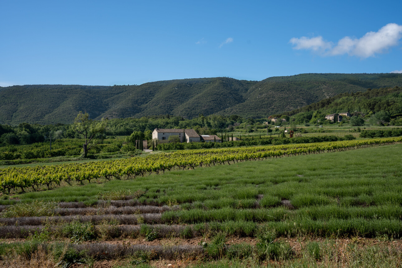 Biodyvin Paris export 2026 - Terre de Vins